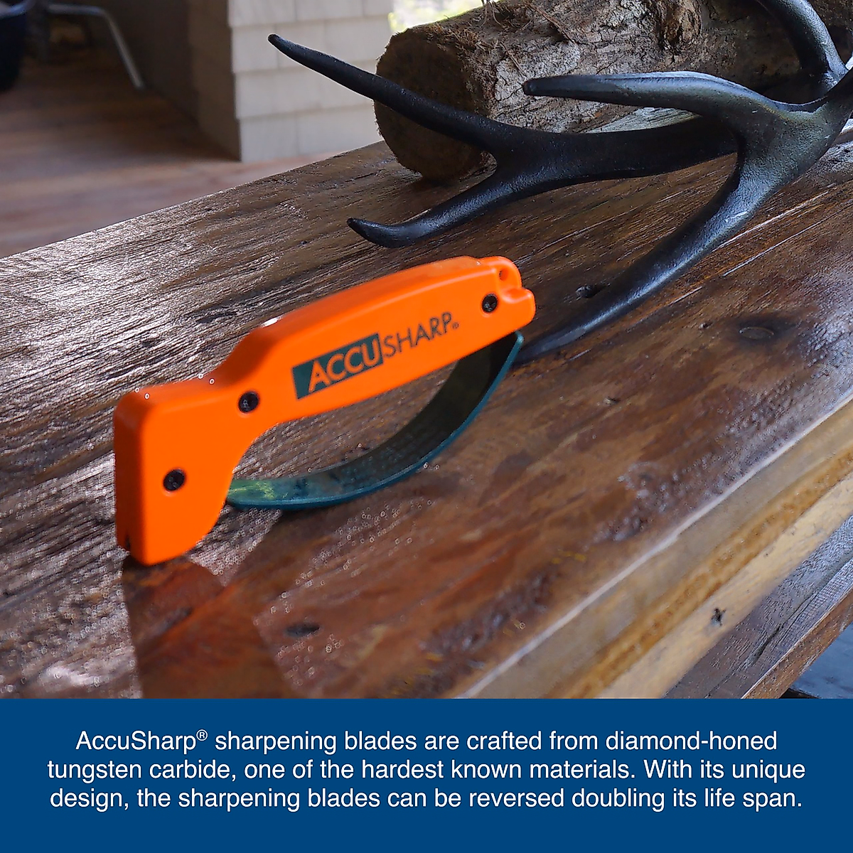 AccuSharp Knife Sharpener, Ergonomic Comfortable Handle, Compact & Easy to Use, Restore and Hone Straight & Serrated Knives, Blaze Orange