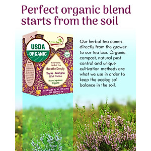 Adanim Bio Eucalyptus Thyme & Mullein Leaf Tea Bags - Organic Gourmet De-Congest Lung Health Respiratory Support Herbal Teas Blend (Pack of 4) Best Breathe Deep