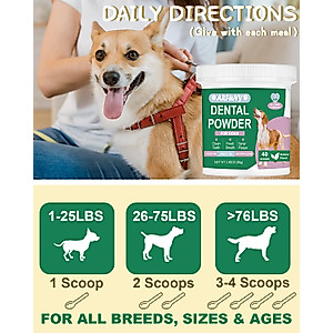 SANTKOL Dog Dental Powder - Dog Teeth Cleaning Powder with Green Tea, Lysozyme, Brown Algae - Dog Dental Care Targets Tartar, Plaque & Bad Breath - Dog Breath Freshener - for All Dogs, 80g