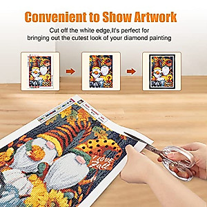 NAIMOER 2Pack Diamond Painting Frames, Frames for 12x16in/30x40cm Diamond Painting Canvas, Magnetic Diamond Art Frame Self-Adhesive, Diamond Painting Frames for Wall Window Door (Black)