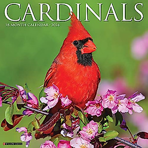 Willow Creek Press Cardinals 2024 12" x 12" Wall Calendar
