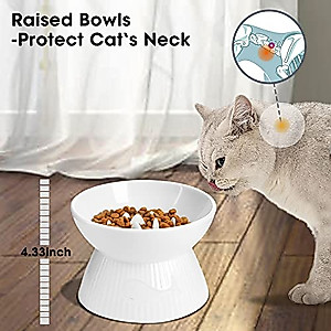 Kopmath Raised Cat Slow Feeder, Ceramic Slow Feeder Cat Bowl, Upgraded Ridges to Prevent Vomiting and Indigestion, No Spill High Edge for Dry/Wet Food, Heavy and Stable, Easy to Clean Pet Bowls