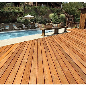 5 gal Zinsser 288345 Clear Wolman, RainCoat Water-Based One Coat Sealer