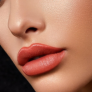 YOUNG VISION Classic Colors Lipstick, Lip Stick Bundles Gift Box Set, Matte Nude Finish, Retractable, 6 Packs