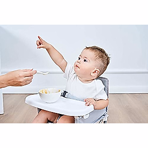 PandaEar Portable Baby Seat Travel| Compact Fold with Straps for Indoor/Outdoor Use| Great for Camping, Beach, Lawn |Toddlers, Kids, Boys, Girls (Neural)