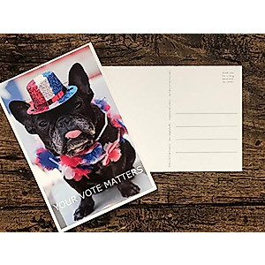 Postcards to Voters - 150 Pack (Your Vote Matters)