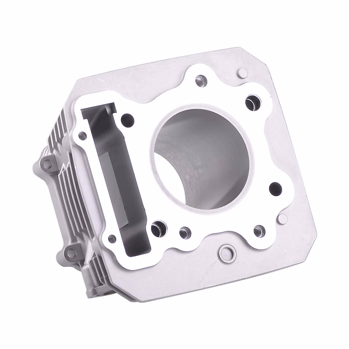 Mallofusa Cylinder Piston Gasket Assemblies Top End Rebuild Kit Compatible with Honda FourTrax 300 1988-2000 TRX300 FW 2x4 4x4