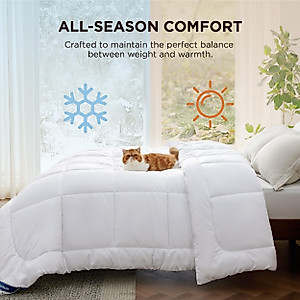 BEDSURE Queen Comforter Duvet Insert - Quilted White Comforters Queen Size, All Season Down Alternative Queen Size Bedding Comforter with Corner Tabs