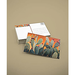 Stonehouse Collection Cactus Postcards - 4 x 6 Western Desert Postcards - 40 Postcards, 4 Different Cacuts Designs