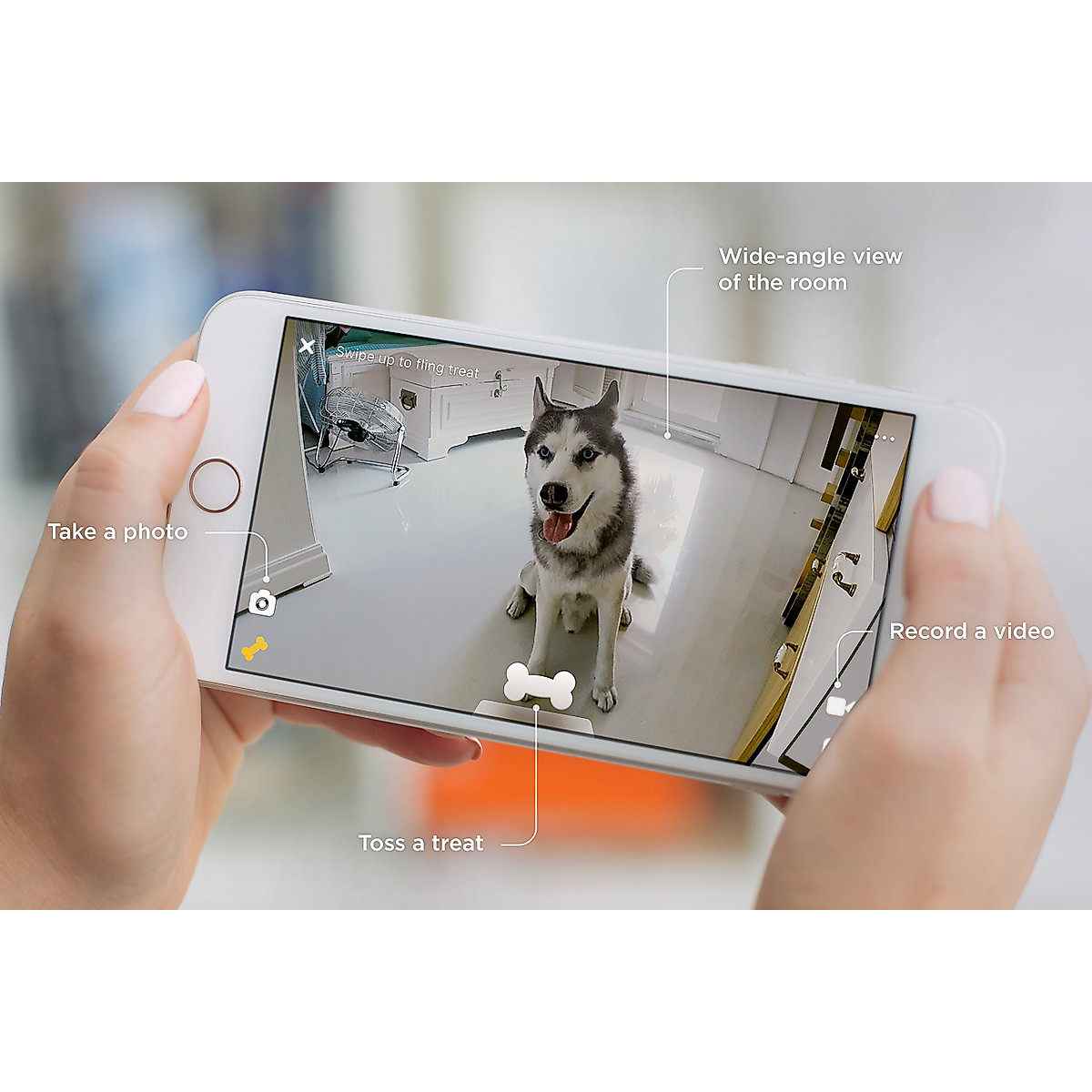 [2017 Item ] Petcube Bites Pet Camera with Treat Dispenser: HD 1080p Video Monitor, 2-Way Audio, Night Vision, Sound and Motion Alerts. For Dogs and Cats