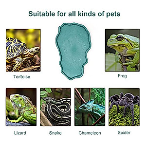 MINYULUA Reptile Food Dish Terrarium Water Bowl Large Food Feeding Bowl for Turtle Tortoise Snake Lizard Gecko Ball Python Reptile Amphibian, Blue