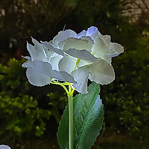 Solar Lights Outdoor Decorative 2 Pack Waterproof Hydrangea Silk Flowers Solar Powered Garden Stake Lights Solar Lights Outdoor Ground Lights for Patio Garden Yard Lawn Pathway (Blue and White)