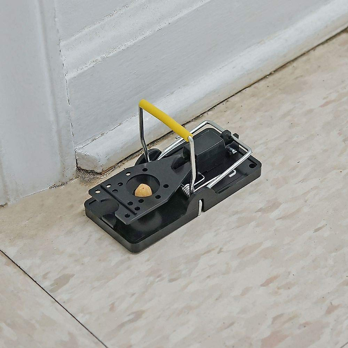 iTrap Easy Set Snap Mouse Traps w/Bait Cups, 6 Pack Simple Deadly Rodent Pest Control for Home or Office