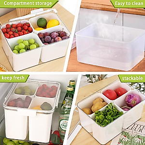 Moretoes 1 Pack Veggie Tray with Lid Sealed Sectioned Fruit Snack Serving Platter Vegetable Storage with 4 Compartments Fruit Storage Containers for Fridge (7.8L)