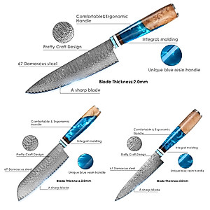 Chef Knife Set Damascus, 3PCS Professional Japanese VG10 Damascus Steel Kitchen Knife Set Chefs Knife, Paring knife, Santoku Knives, Chef Knife Set for Kitchen with Gift Box