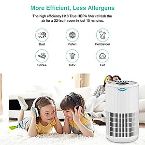 Tailulu Air Purifier Replacement Filter for D09 Air Cleaner, 3-in-1 True H13 HEPA Filter, High-Efficiency Activated Filter, 1 Pack