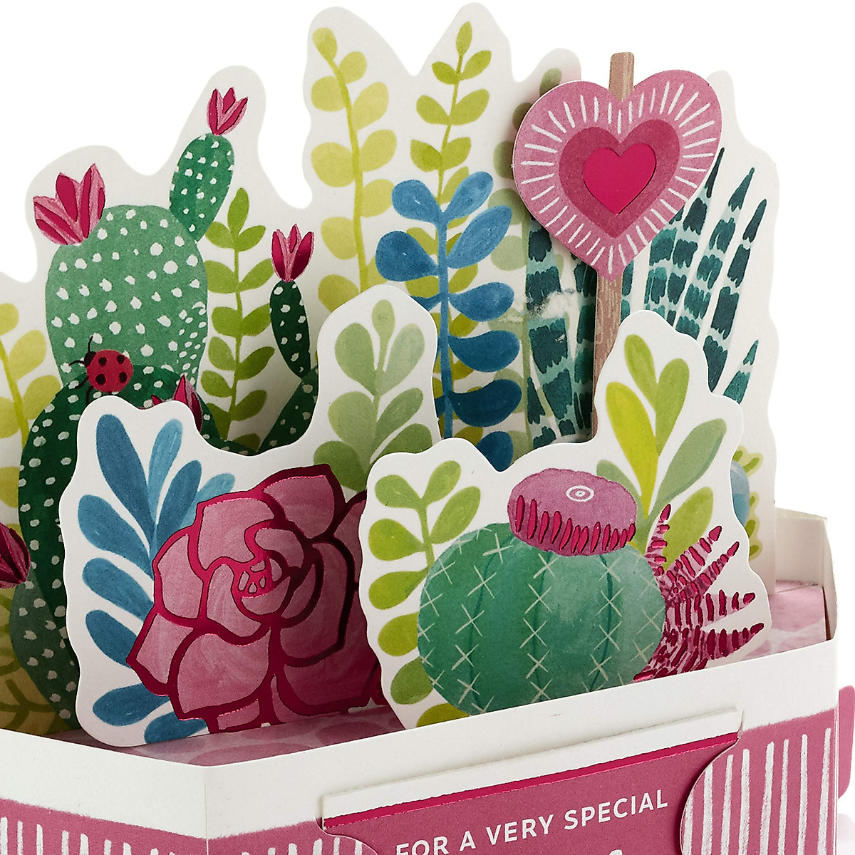 Hallmark Pop Up Birthday Card for Mom (Displayable Succulents and Flowers)
