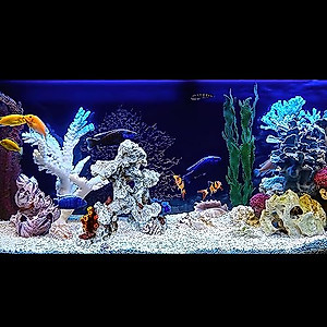 majoywoo Coral Reef for Aquarium Decor, Artificial Resin Fish Tank Decor, Goldfish Betta Fish Hideout, White