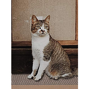ShioSel, Cat Scratch Pads, Scratcher Cardboards Scratching Pads, Catnip Included, 5-Pack (Slim)