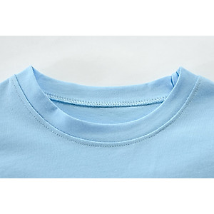 DDSOL Easter Day T-Shirt Gift for Toddler Little Boy Girl Rabbit Bunny Egg Hunt Truck Blue Tshirt Cotton Short Sleeve Kid Tee Top Clothes Size 3T