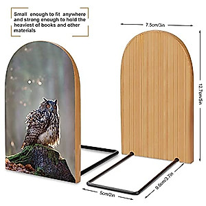Nudquio Eurasian Eagle Owl Wooden Shelves Bookends Desktop Book Stand Book Ends Books Holder for Library School Home Office Study Bedroom Decoration（Logs）, One Size