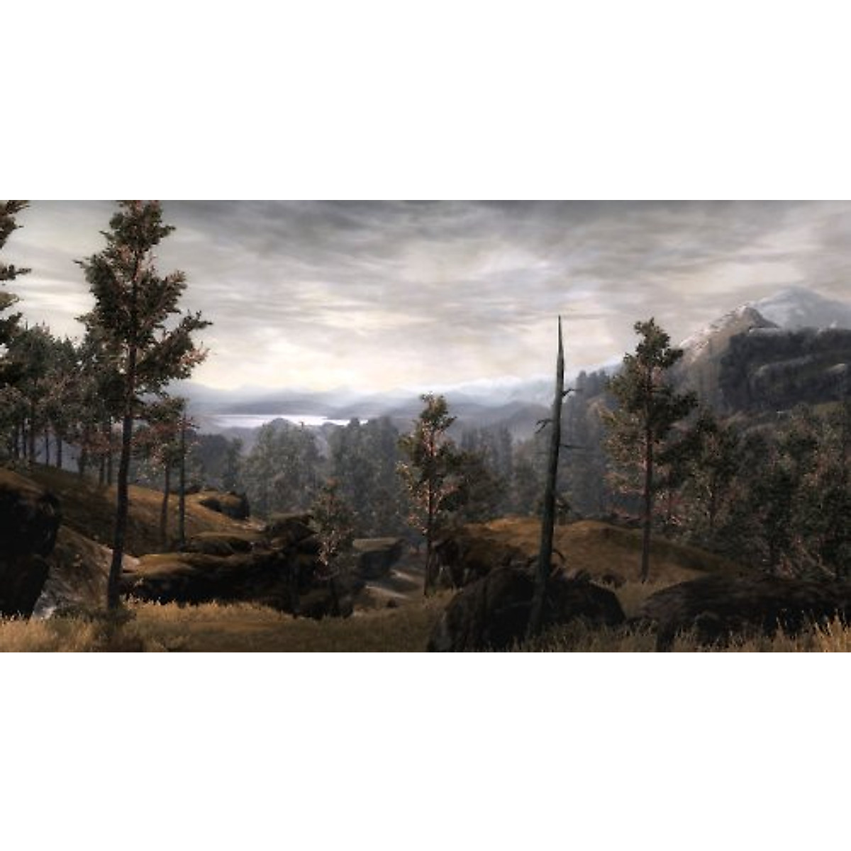 Lord of the Rings: War in the North - Xbox 360