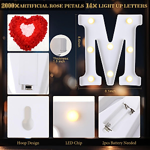 Aurelema CASARTE CONMIGO Light Up Letter, 8.3'' Marry Me Decor Light Up Letters in Spanish LED Letter Lights with Rose Petals Battery Powered Marry Me Sign Lights Proposal Decor, 14 Letter, Warm White