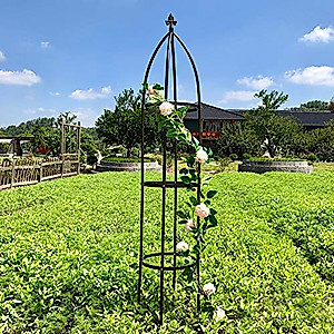 Garden Arch Trellis for Climbing Plants Rose Thicken Metal Wedding Arches Arbor Ceremony Party Outdoor Floral Decor Bronze