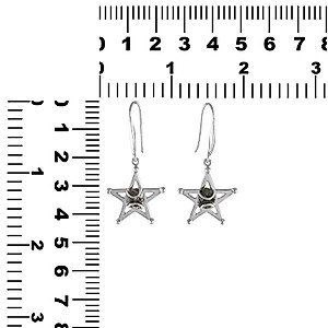 Starborn Sterling Silver Campo del Cielo Meteorite Star Earrings