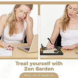 Madaiko Zen Garden for Desk - Mini Zen Garden Kit, Office & Home Decor Accessories, Japanese Zen Sand Garden, Meditation Gifts, Sand & Rock Tray Therapy