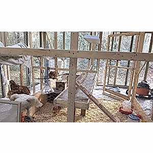 SWEETER HEATER Infrared Heater for Chicks & Pets, Overhead 11x30, 100 Watt