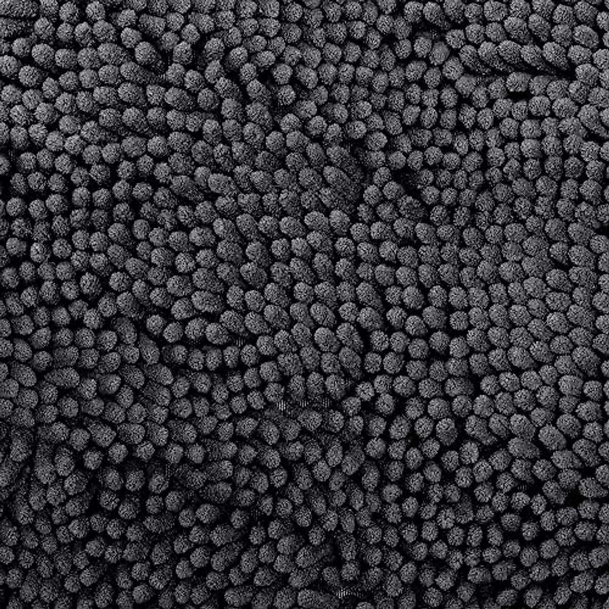 Furhaven XXL Runner Pet Door Mat Muddy Paws Absorbent Chenille Shammy Rug, Washable - Charcoal (Gray), Runner