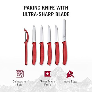 Victorinox Swiss Army 6.7111.6G Swiss Classic Knife Set Red Set of 6