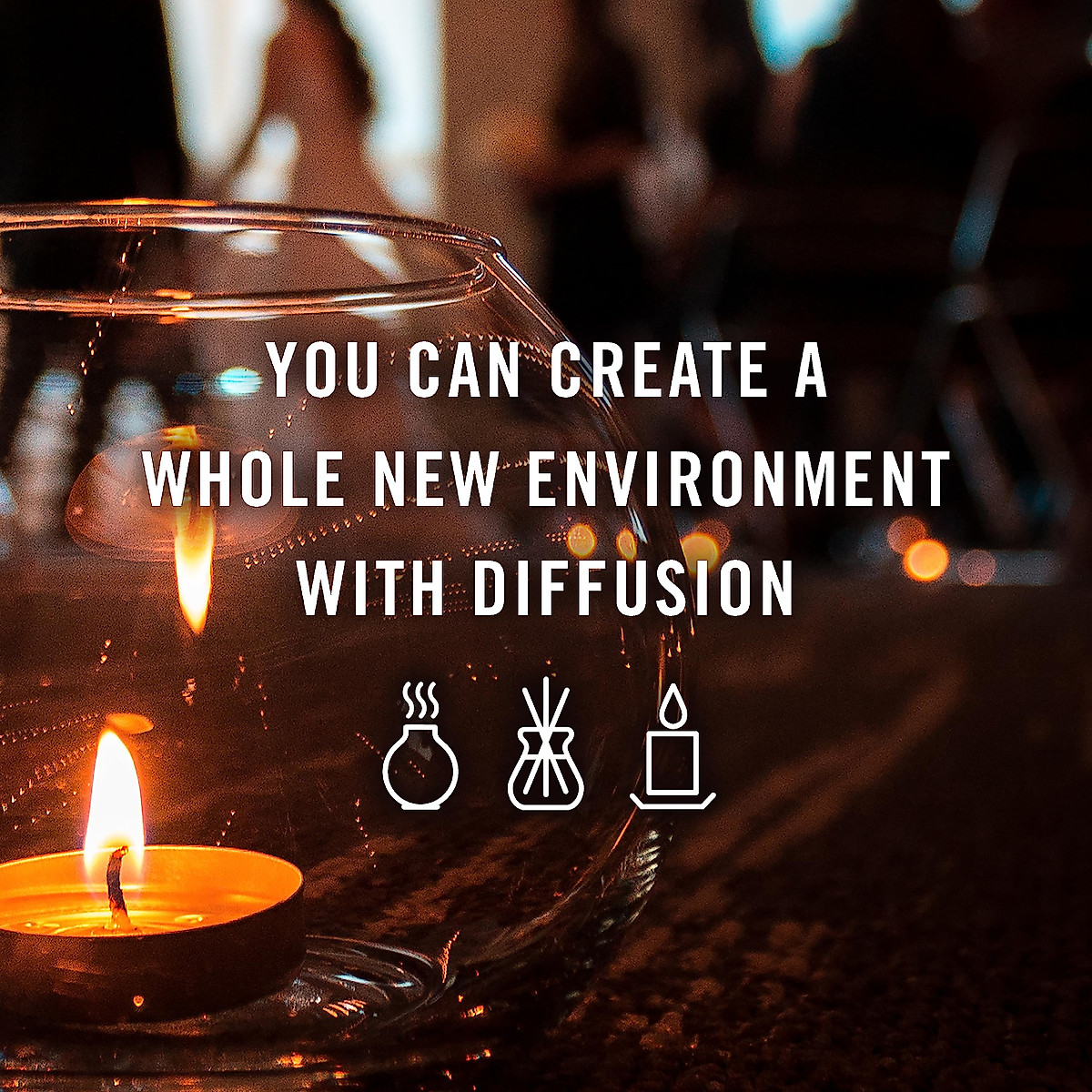 P&J Trading Fragrance Oil | Ladies Set of 6 - Scented Oil for Soap Making, Diffusers, Candle Making, Lotions, Haircare, Slime, and Home Fragrance