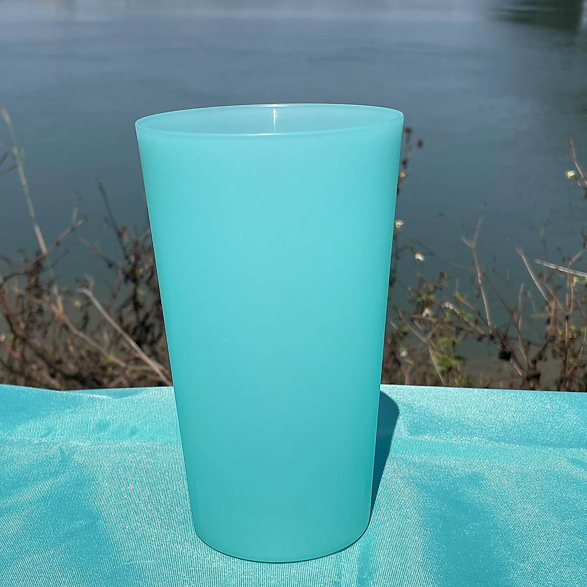 YUYUHUA Unbreakable Plastic Cups Reusable - 28 oz Plastic Tumblers set of 12, BPA-Free Dishwasher Safe & Lightweight Reusable Cups for Kitchen, Home, Office, Outdoor