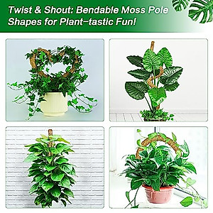 Pechaut 47 Inch Moss Pole for Climbing Plants Monstera, 1 Pack Bendable & Durable Plant Poles for Indoor Plants, Suitable Gift for Plant Lovers