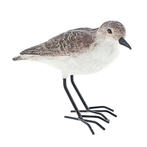 The Bridge Collection Realistic Shorebird Figure - Resin Sandpiper Bird Statue - Tabletop Beach Decor for Lake House, Coastal Decor - Oceanside Decor Accents for Home