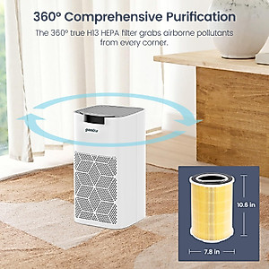 2 Packs Genuine Ganiza G200S/G200 Air Purifier Pet A11ergy Filter, 3-in-1 True H13 HEPA and Activated Carbon Air Filter for Pet Dander, Hair, Pollen, Dust, Pet Odor, G200S/G200-RF