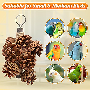Acostop Bird Toys Parrot Toys - Bird Chewing Toy with Natural Pine Cones for Small and Medium-Sized Parakeets Cockatiels Conures Cockatoos African Grey Amazon Parrots Birdlovers Gifts