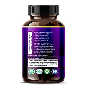 Ultra Liver Support Supplement 19400mg 50x Concentrated Extract TUDCA Milk Thistle - with Artichoke, Beet Root, Berberine, Chicory, Dandelion, Ginger Turmeric (90 Count (Pack of 1))