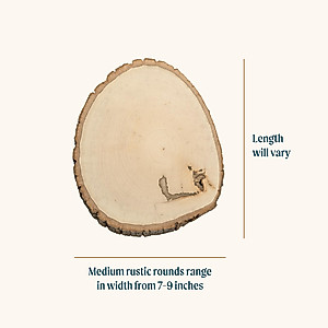 Walnut Hollow Medium Basswood Rustic Round Wood Slices with Live Edge Bark, Bulk Value Pack, 12-Pack
