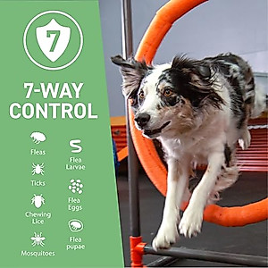 NEXTSTAR Flea and Tick Prevention for Dogs, Repellent, Treatment, and Control, Fast Acting Waterproof Topical Drops for Large Dogs, 3 Monthly Doses