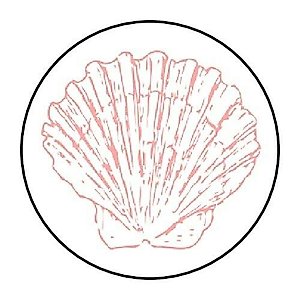 without brand Set of 48 Envelope Seals Labels Beautiful Seashell 1.2" Round