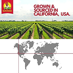 Sun-Maid Vanilla Yogurt Coated Raisins - (10 Pack) 0.5 oz Mini Snack-Size Box - Yogurt Covered Dried Fruit Snack for Lunches and Snacks