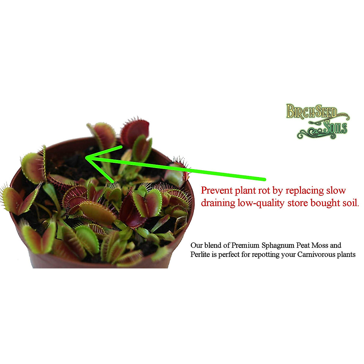 Carnivorous Plant Soil Mix All Natural Perfect for Venus Fly Traps, Pitcher Plants, Butterworts, and Sundews 1 Quart 1-2 Small Plant Size Bag