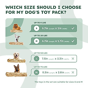 Alfred & Beebee Eco-Friendly Coffee Wood Dog Chew Toy Pack - for Regular Chewers - Dog Dental Chew