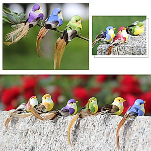 Oumefar 12Pcs Beautiful Simulated Birds Ornament,Lovely Artificial Simulation Foam Bird for Statues Tree Lawn Home Garden Decoration