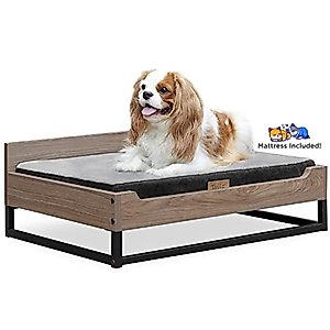 Wooden Dog Bed and Dog Couch with Water-Resistant Mattress, Small to Medium Elevated Pet Bed with Calming mattress, Greenguard Gold Certified, Dog Beds & Furniture, Milo - TailZzz