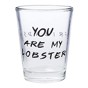 Silver Buffalo Friends Iconic Quotes Only 4 Pack Mini Glasses, 1.5 Ounces