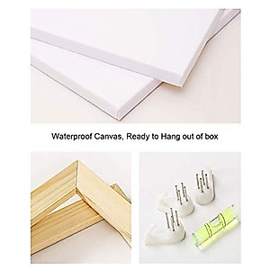 Biuteawal African American Wall Art Indian Woman Decor Photo Paintings Abstract Decorative Artwork for Home Bedroom Bathroom Framed Ready to Hang